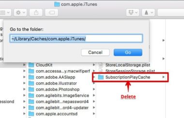 9 Ways to Fix You Are Not Signed in to Apple Music Error - Saint