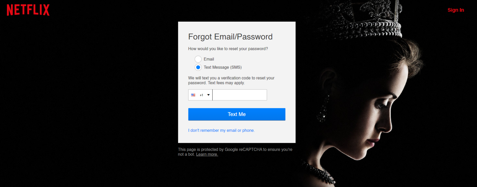 11 Ways to Fix Wrong Password Error on Netflix - Saint