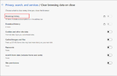 How to Stop Microsoft Edge from Saving History in Windows 10 - Saint