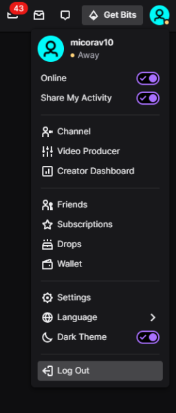 How to Fix Fullscreen Not Working on Twitch - Saint