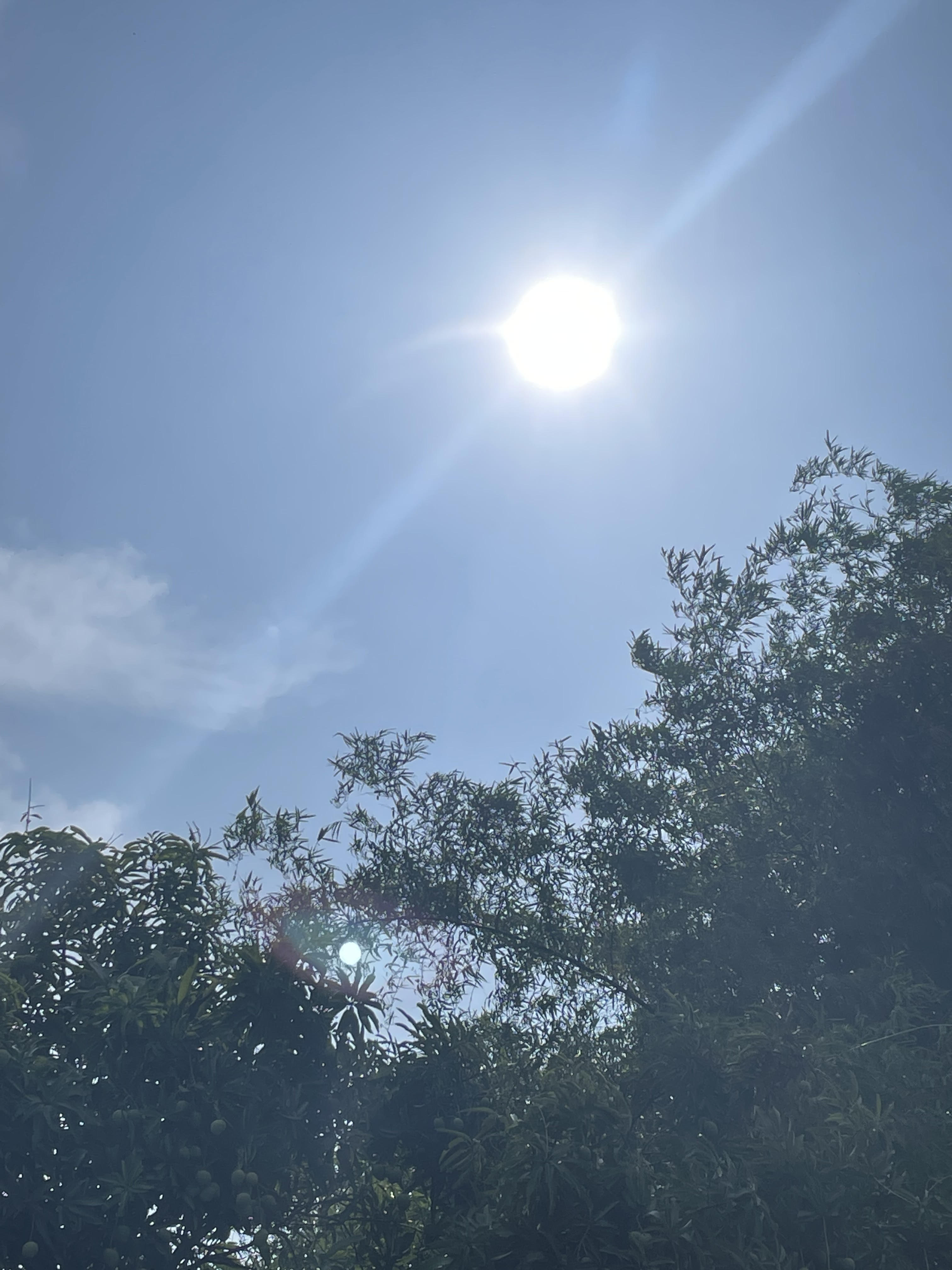 How to Fix Lens Flare on iPhone